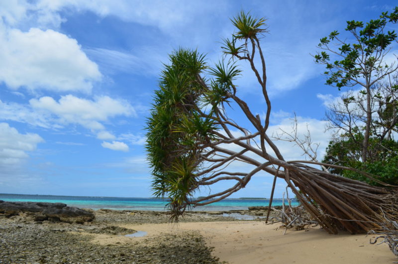 Fafa Island – The Photos – Paula's Passport