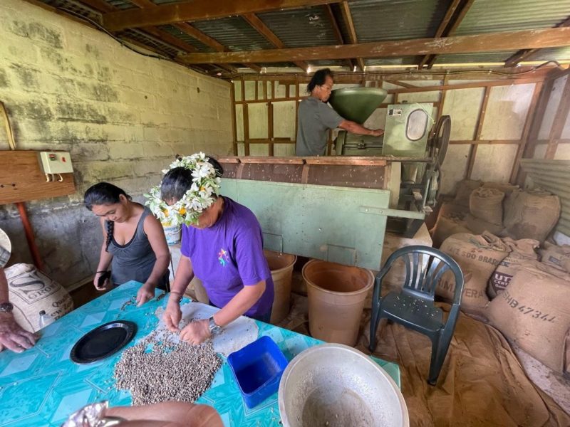 The Cook Islands: Atiu – Paula's Passport